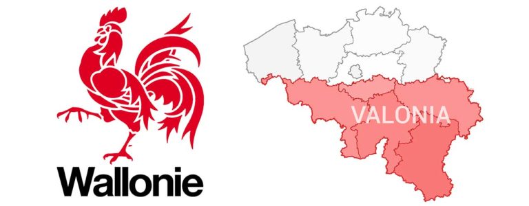 Cata de cervezas originarias de Valonia, la región sur de Bélgica ...