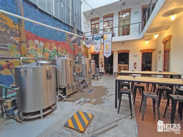 Cerveza artesana CDMX | Fábricas | Tiendas | Taprooms Ciudad de México